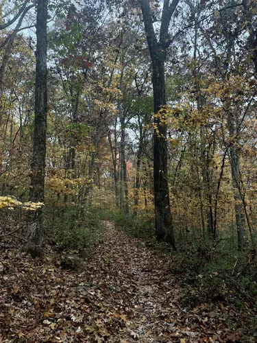 Best 10 Hiking Trails in Chapman Mountain Nature Preserve | AllTrails