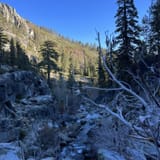 Eagle Falls Vista Point Loop, California - 1,339 Reviews, Map | AllTrails