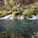 West Metolius River Trail, Oregon - 711 Reviews, Map | AllTrails
