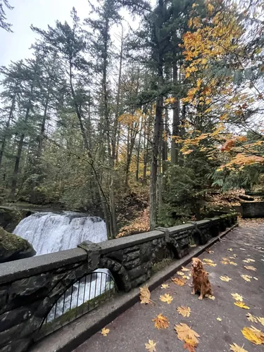 Best Hikes and Trails in Whatcom Falls Park | AllTrails