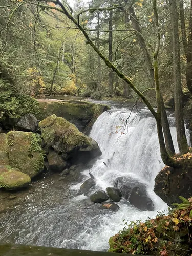 Best Hikes and Trails in Whatcom Falls Park | AllTrails