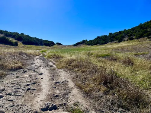 Frank G Bonelli Regional Park: de beste routes om te wandelen | AllTrails