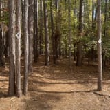 Little Gap Trail, South Carolina - 686 Reviews, Map | AllTrails