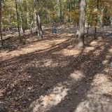 Little Gap Trail, South Carolina - 686 Reviews, Map | AllTrails