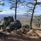 Pinnacle Trail to Kings Pinnacle, North Carolina - 2,670 Reviews, Map ...