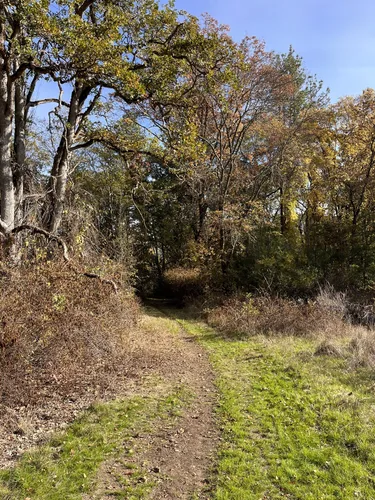 2023 Best Forest Trails in Eagle Point | AllTrails