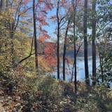Dam Road, Issaqueena, Rocky and Collarbone Trail, South Carolina ...