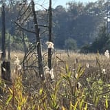 Cape Henry Trail, Virginia - 553 Reviews, Map | AllTrails