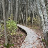Atlantic White Cedar Swamp Trail, Massachusetts - 920 Reviews, Map ...