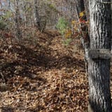 Bartram Trail: Wallace Branch to William's Pulpit, North Carolina ...