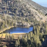 Galena Falls Trail, Nevada - 2,281 Reviews, Map | AllTrails