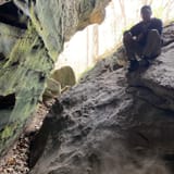 Panther Den Loop, Illinois - 846 Reviews, Map | AllTrails