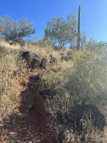 2023 Best Child Friendly Trails in Spur Cross Ranch Conservation Area ...