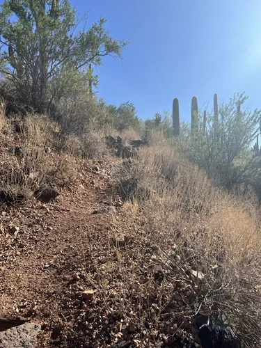 2023 Best Child Friendly Trails in Spur Cross Ranch Conservation Area ...
