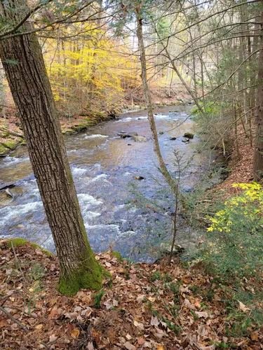 2023 Best Views Trails in Mill River | AllTrails