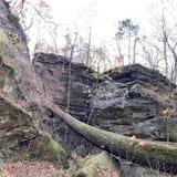 Panther Den Loop, Illinois - 846 Reviews, Map | AllTrails