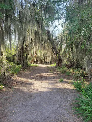 Best Hikes and Trails in Santa Ana National Wildlife Refuge | AllTrails