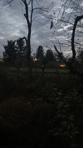 Best Hikes and Trails in George Lorimer Preserve | AllTrails