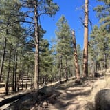 Schultz Creek Trail, Arizona - 437 Reviews, Map | AllTrails