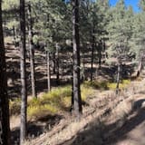 Schultz Creek Trail, Arizona - 437 Reviews, Map | AllTrails