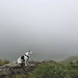 Rapaki Track, Canterbury, New Zealand - 517 Reviews, Map | AllTrails