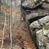 Boulder Loop Trail, New Hampshire - 1,943 Reviews, Map | AllTrails