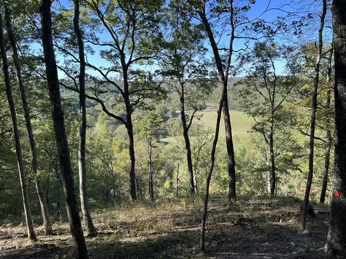 Best Hikes and Trails in Bryant Creek State Park | AllTrails