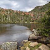 Carter Dome Trail, New Hampshire - 129 Reviews, Map | AllTrails