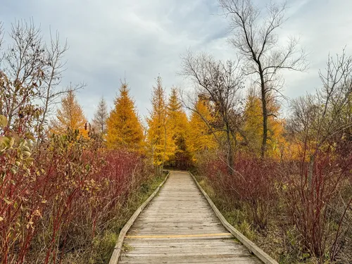 Best Hikes and Trails in Saint Louis Park | AllTrails