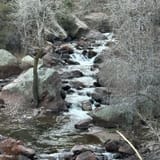 Fowler Trail, Colorado - 1,858 Reviews, Map | AllTrails