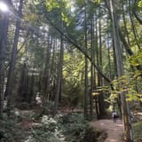 Dawn Falls Trail, California - 989 Reviews, Map | AllTrails