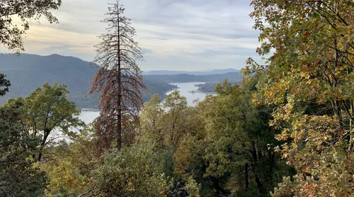 Best Off Road Driving Trails in Oakhurst | AllTrails
