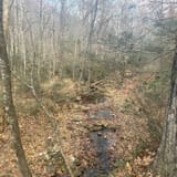 Riprap Trail , Virginia - 1,478 Reviews, Map | AllTrails