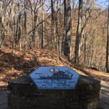 Tri-State Peak Trail, Tennessee - 896 Reviews, Map | AllTrails