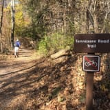 Tri-State Peak Trail, Tennessee - 889 Reviews, Map | AllTrails
