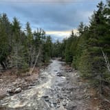 Lester River Trail and Amity East, Minnesota - 880 Reviews, Map | AllTrails