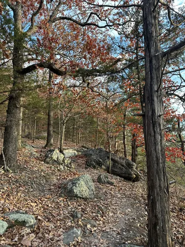 Best Hikes and Trails in Painted Rock Conservation Area | AllTrails