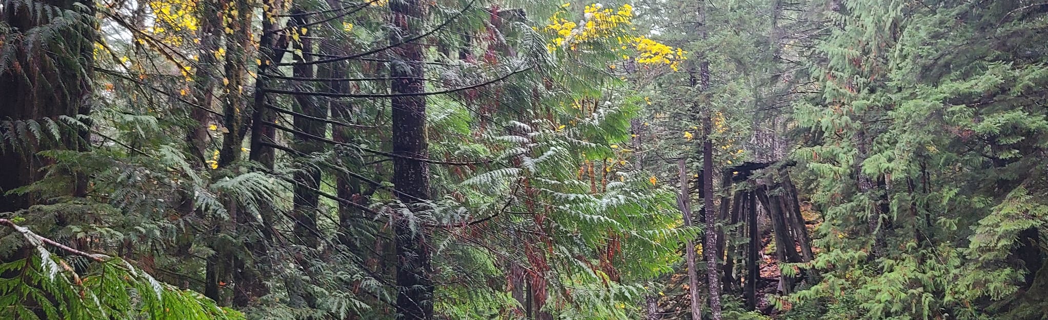Alberni Inlet Trail Stage 3: Franklin River to Headquarters Bay ...