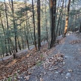 Turkey Path, Pennsylvania - 628 Reviews, Map | AllTrails