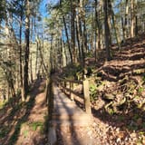 Turkey Path, Pennsylvania - 642 Reviews, Map | AllTrails