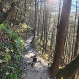 Turkey Path, Pennsylvania - 642 Reviews, Map | AllTrails