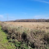 Fox River Trail, Wisconsin - 121 Reviews, Map | AllTrails