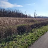Fox River Trail, Wisconsin - 121 Reviews, Map | AllTrails