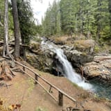Silver Falls Loop, Washington - 2,786 Reviews, Map | AllTrails