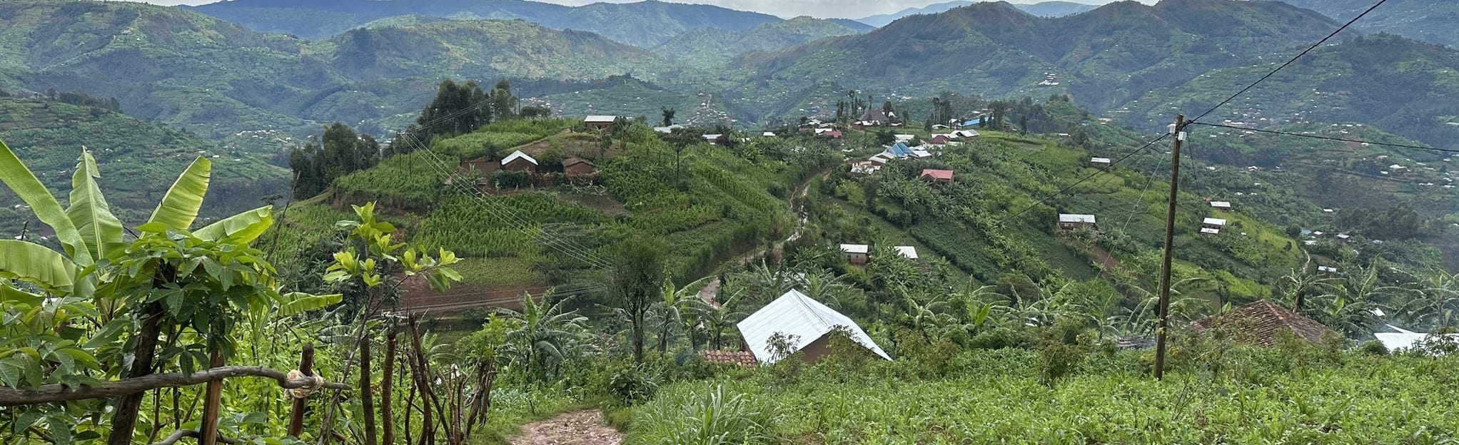 Mount Kabuye, Northern, Rwanda - 6 Reviews, Map | AllTrails