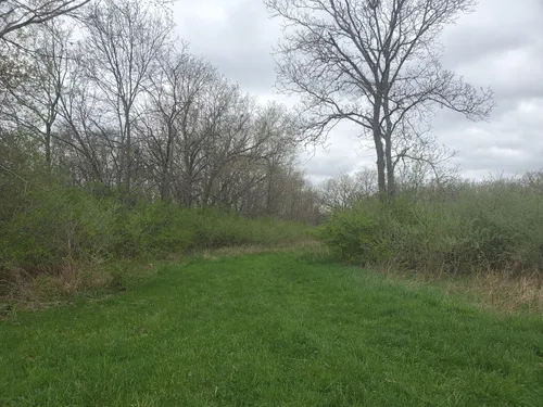 Best Hikes and Trails in Stephens State Forest - Woodburn Unit | AllTrails