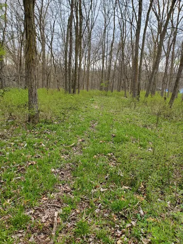 Best Hikes and Trails in Stephens State Forest - Woodburn Unit | AllTrails