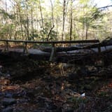 Dog Slaughter Falls Trail, Kentucky - 1,462 Reviews, Map | AllTrails