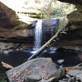 Dog Slaughter Falls Trail, Kentucky - 1,462 Reviews, Map | AllTrails