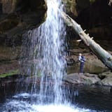 Dog Slaughter Falls Trail, Kentucky - 1,462 Reviews, Map | AllTrails